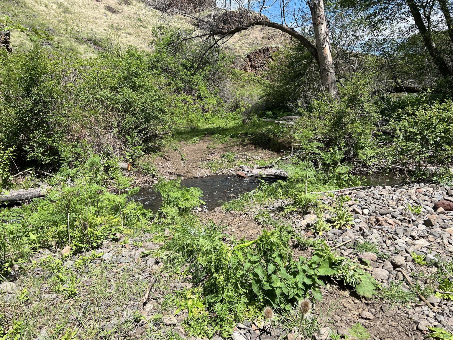 10 Mile Creek Ranch | Asotin Washington | Fay Ranches