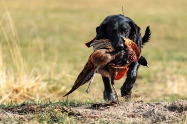 Keating Valley River Ranch | Baker City Oregon | Fay Ranches