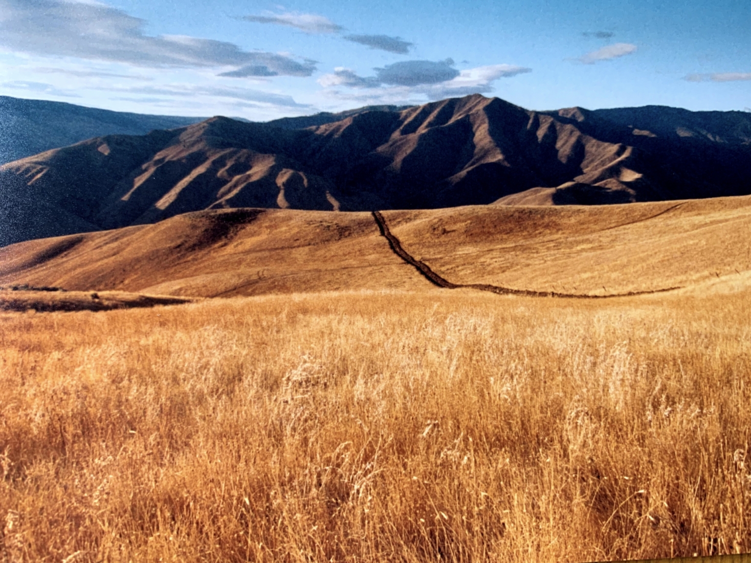 Entiat Mesa Ranch | Entiat Washington | Fay Ranches