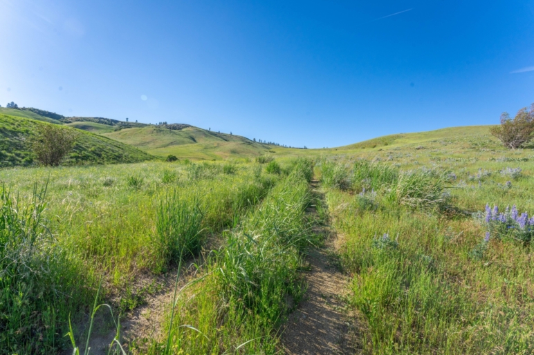 Entiat Mesa Ranch | Entiat Washington | Fay Ranches