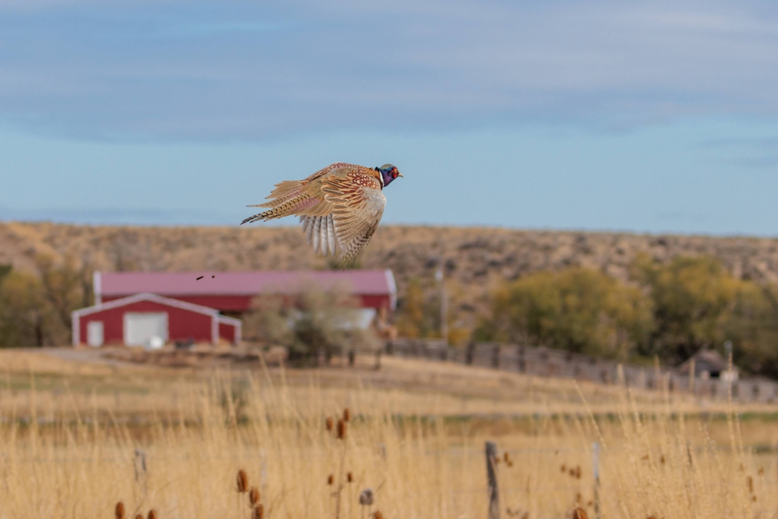 Keating Valley River Ranch | Baker City Oregon | Fay Ranches