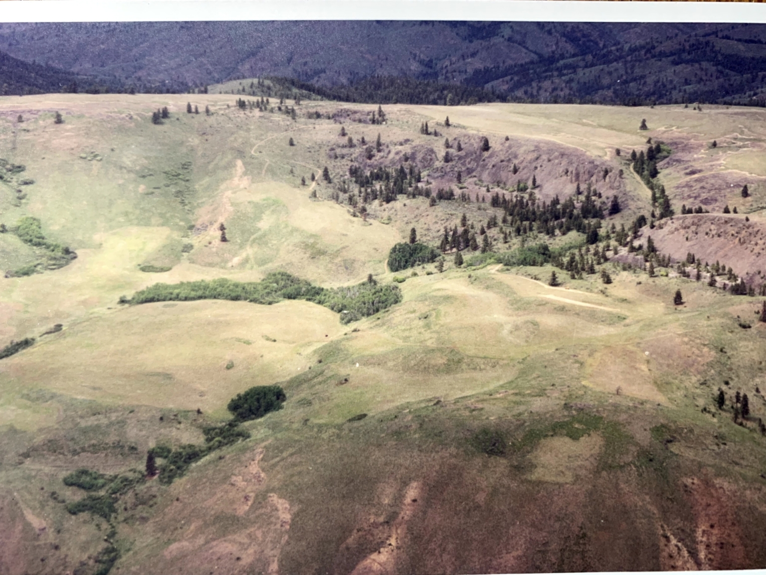 Entiat Mesa Ranch | Entiat Washington | Fay Ranches