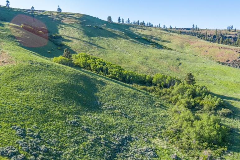 Entiat Mesa Ranch | Entiat Washington | Fay Ranches