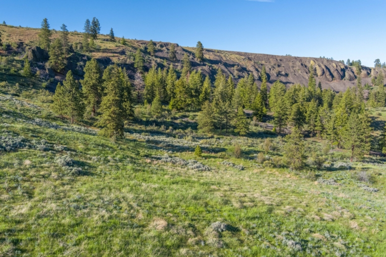 Entiat Mesa Ranch | Entiat Washington | Fay Ranches