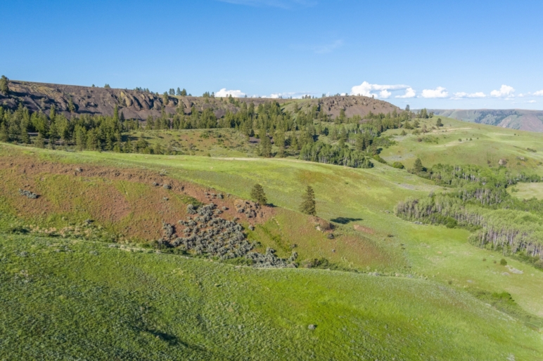 Entiat Mesa Ranch | Entiat Washington | Fay Ranches
