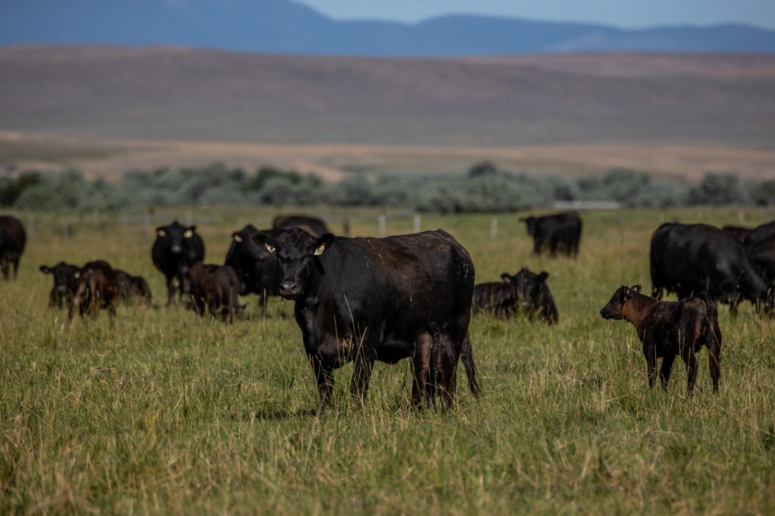 Keating Valley River Ranch | Baker City Oregon | Fay Ranches