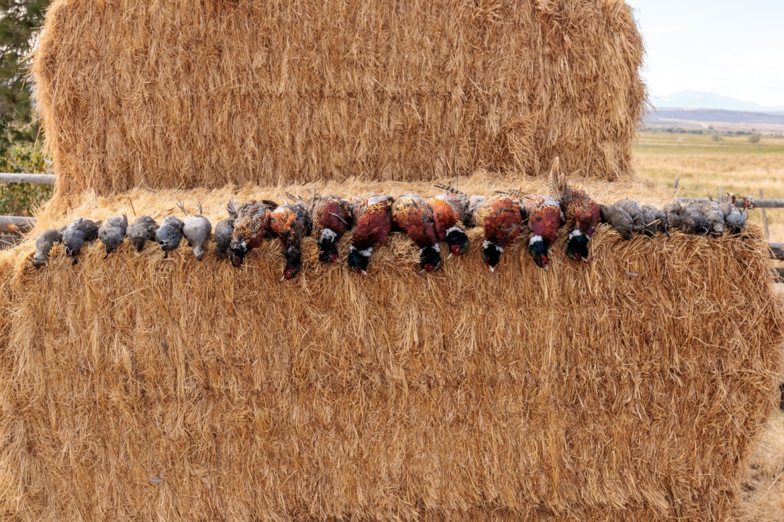 Keating Valley River Ranch | Baker City Oregon | Fay Ranches