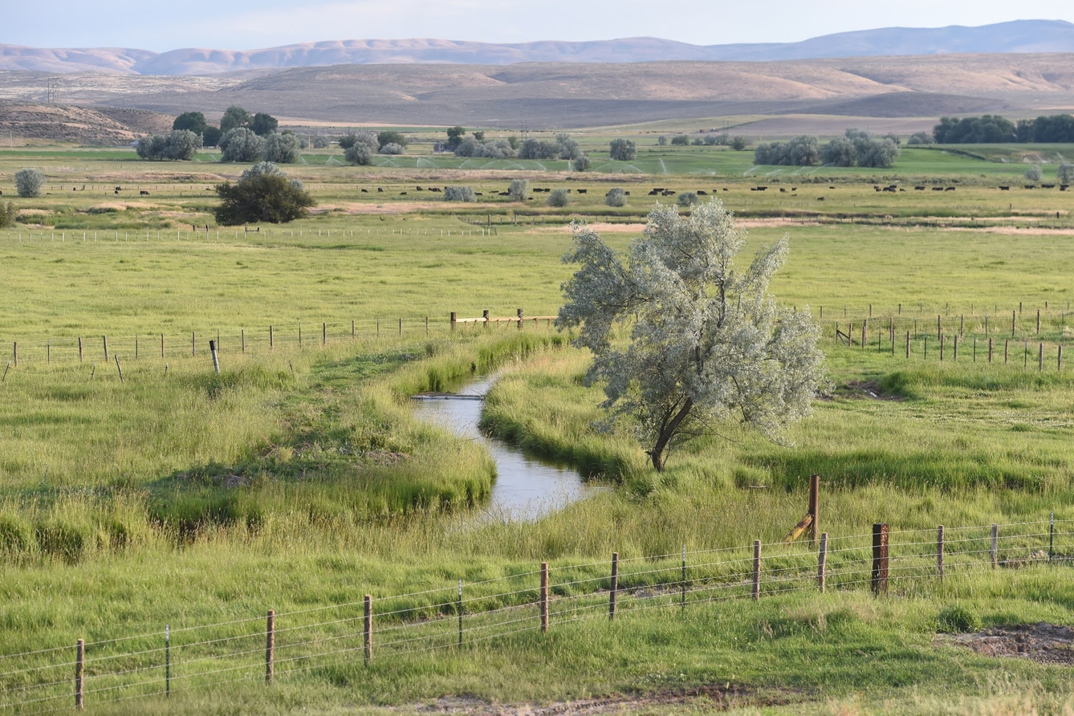 Keating Valley River Ranch | Baker City Oregon | Fay Ranches