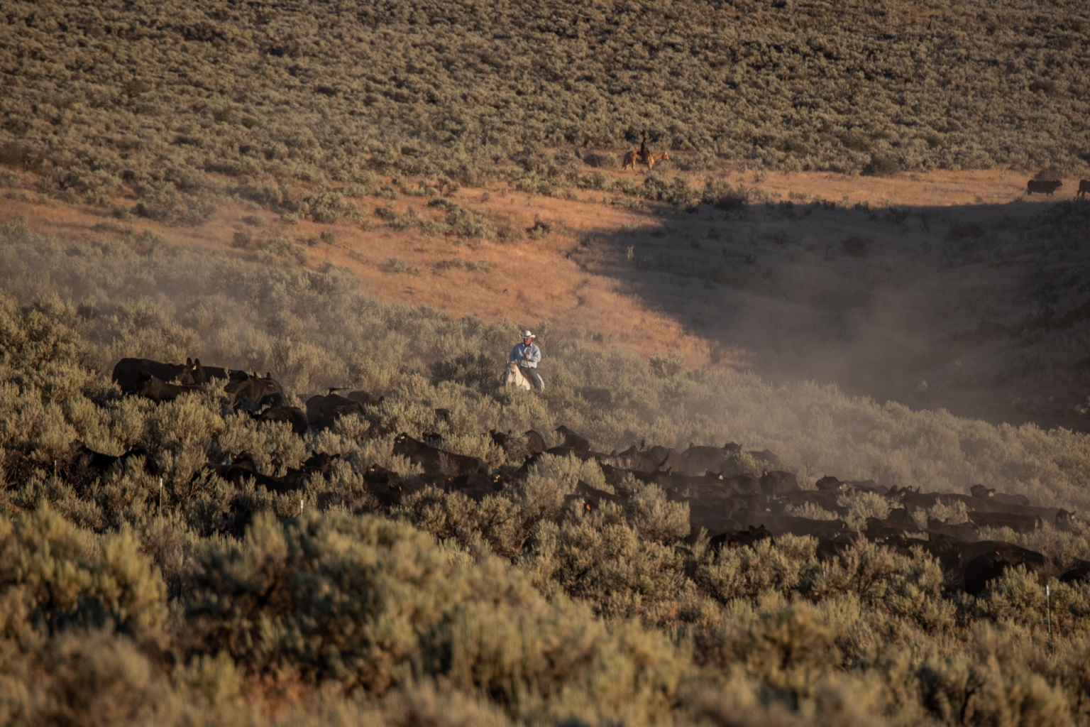 Keating Valley River Ranch | Baker City Oregon | Fay Ranches