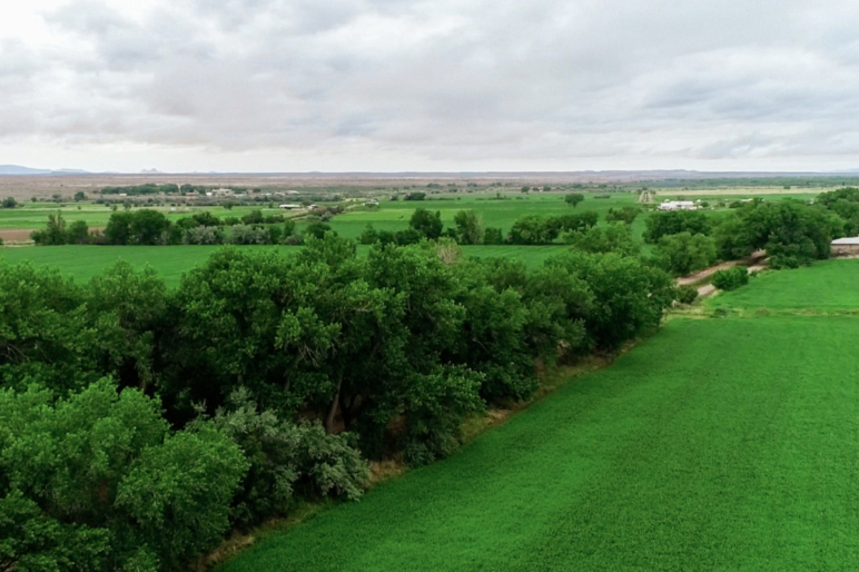 Ranch Properties For Sale | Land Investments | Fay Ranches