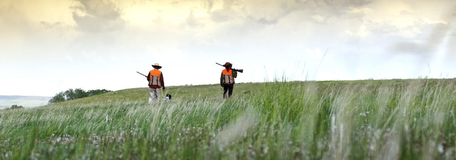 Upland Game Bird Hunting | Fay Ranches