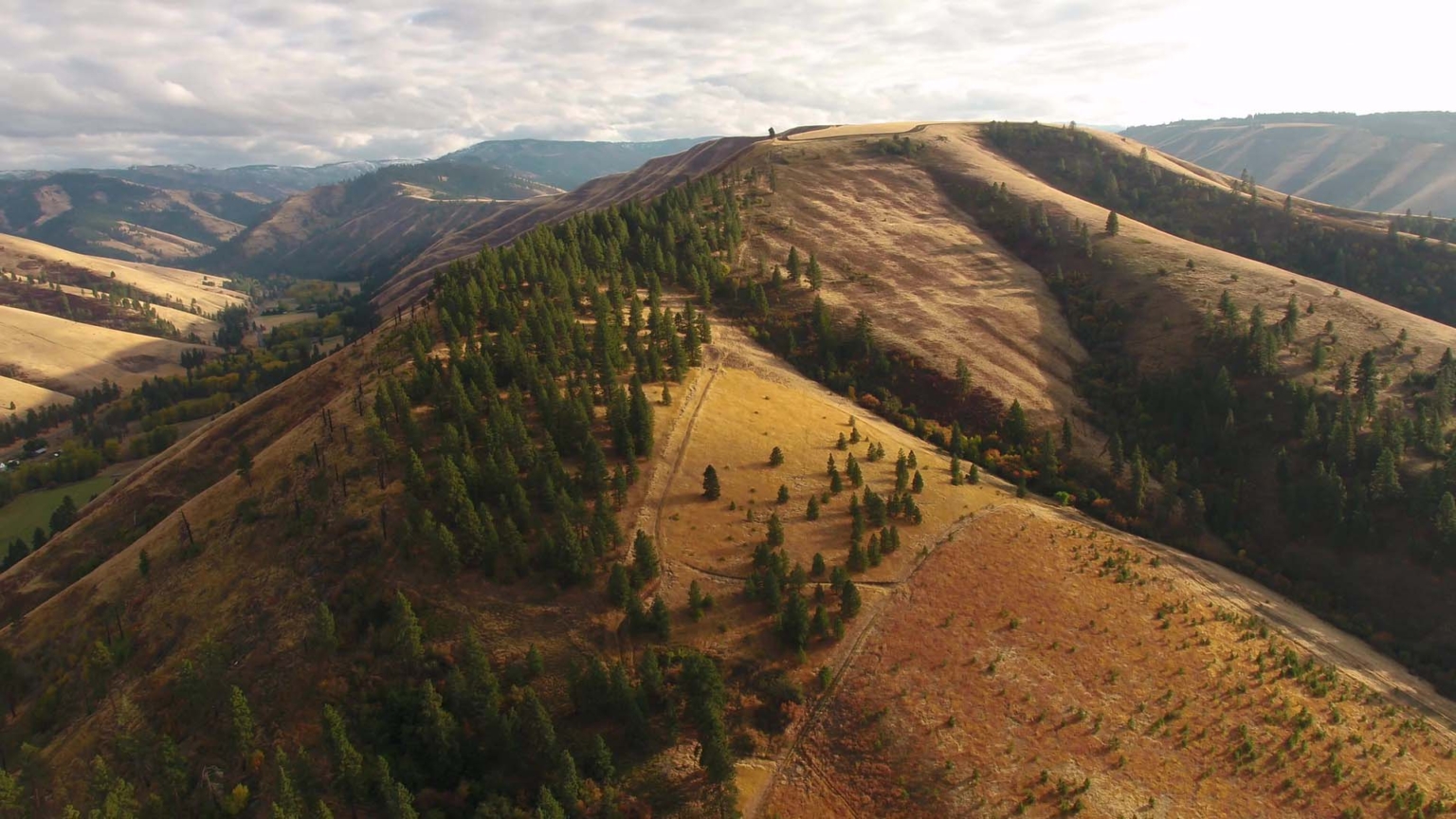Touchet River Ranch | Dayton Washington | Fay Ranches