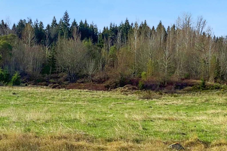 Washington Ranch Land Properties For Sale | Fay Ranches