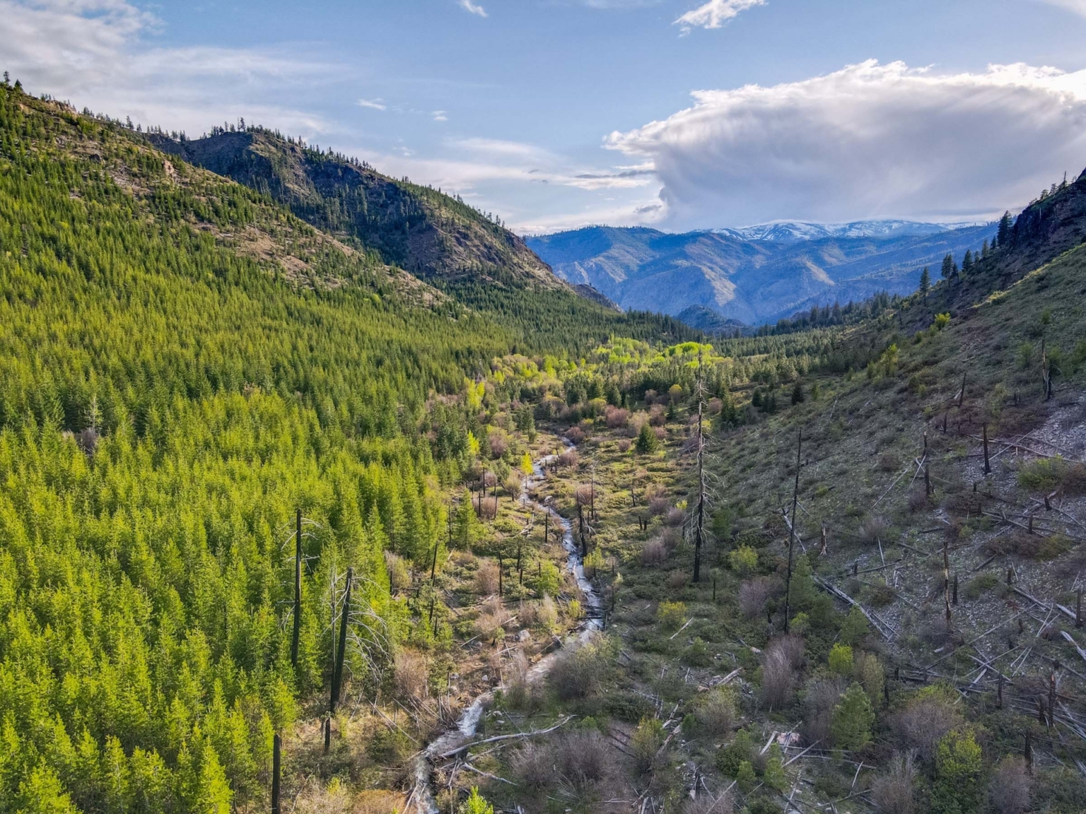 Stormy Creek Ranch | Entiat Washington | Fay Ranches