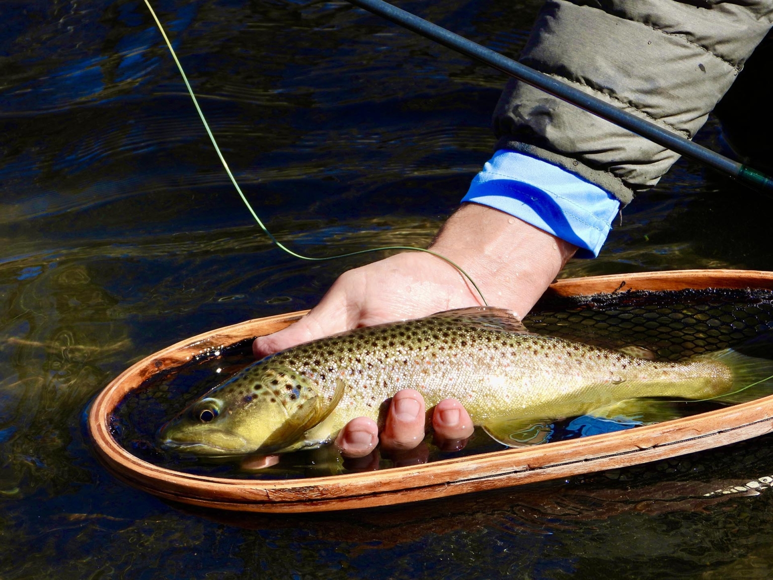 Beartooth Overlook | Fishtail Montana | Fay Ranches