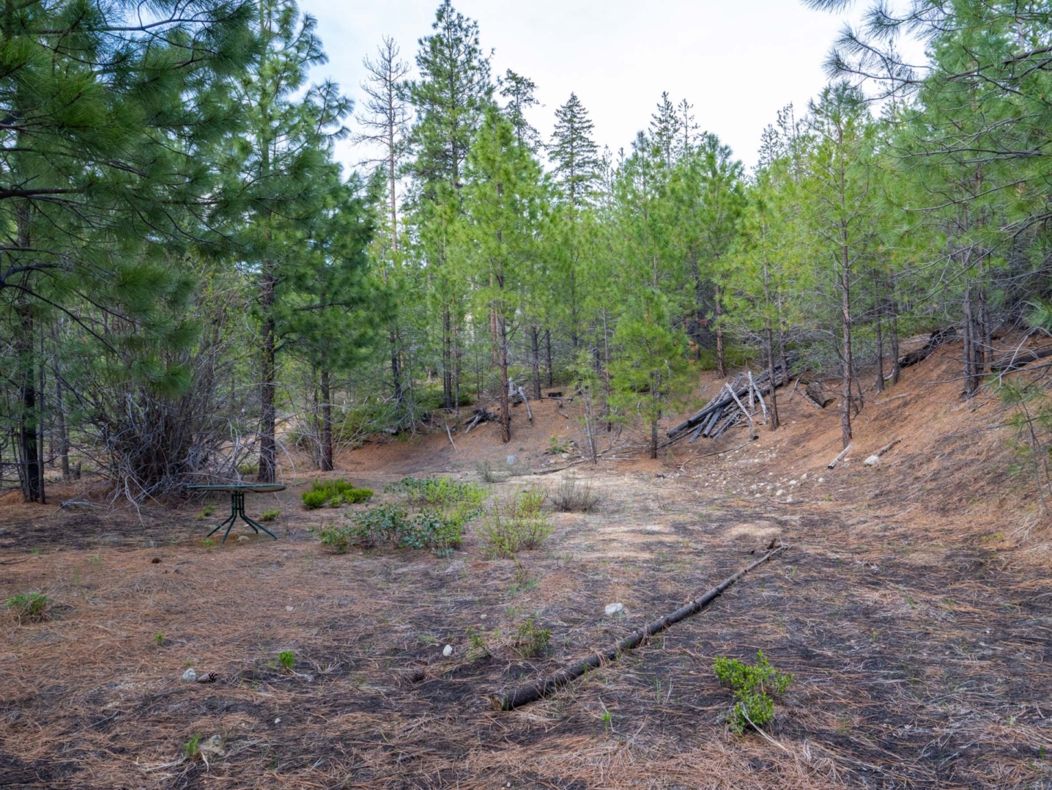 Stormy Creek Ranch | Entiat Washington | Fay Ranches