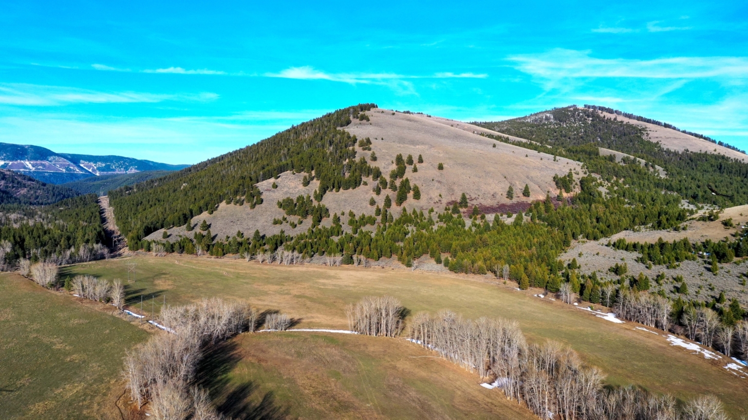 Eder Meadows | Helmville Montana | Fay Ranches