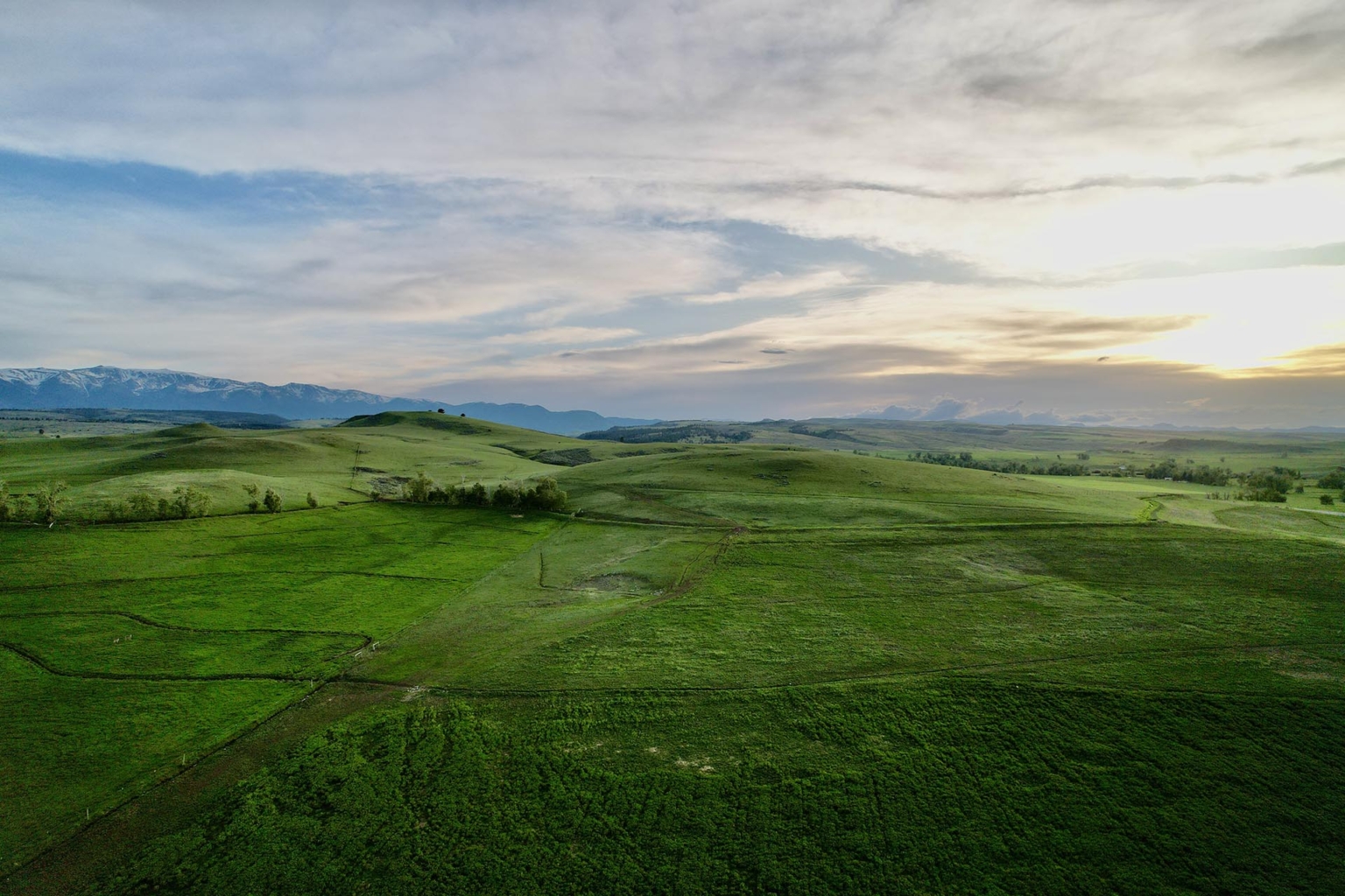 Beartooth Overlook | Fishtail Montana | Fay Ranches
