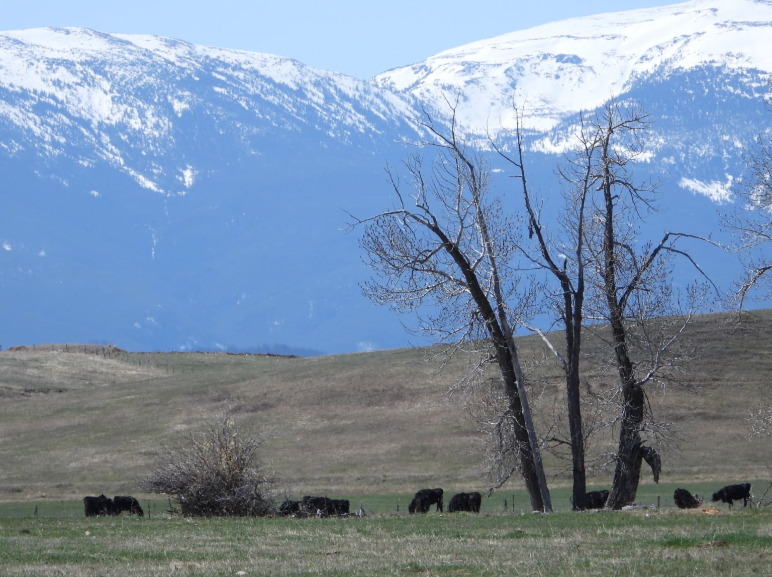 Beartooth Overlook | Fishtail Montana | Fay Ranches
