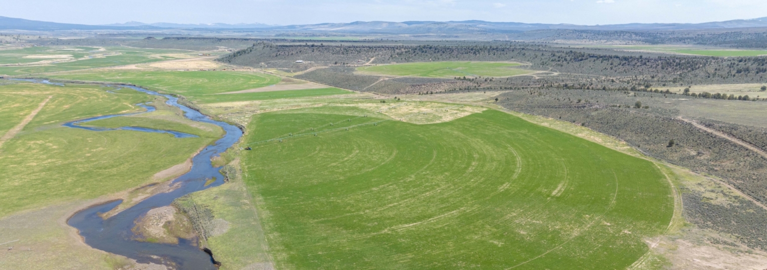 Giorgi Ranch | Paulina Oregon | Fay Ranches
