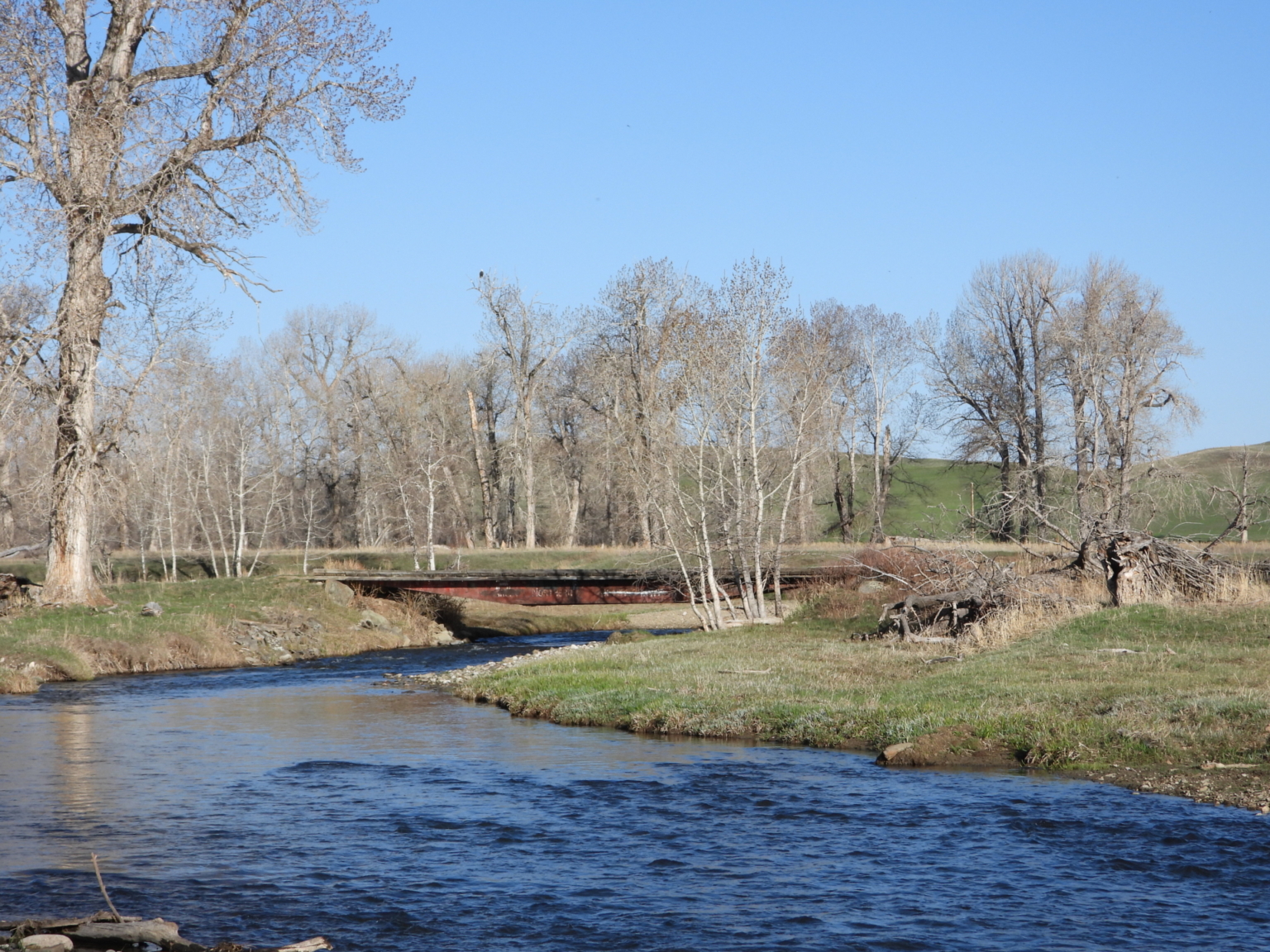 Beartooth Overlook | Fishtail Montana | Fay Ranches