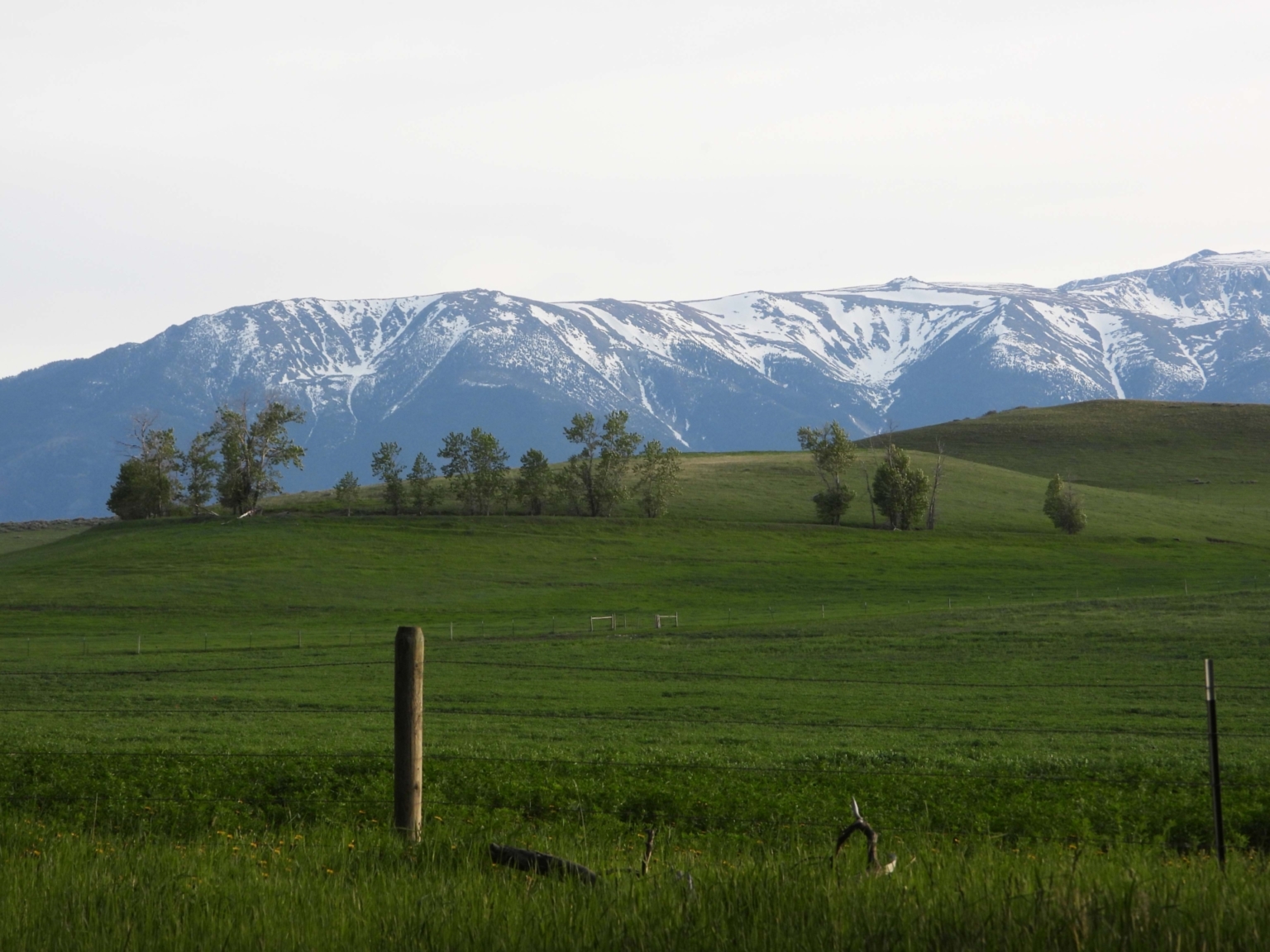 Beartooth Overlook | Fishtail Montana | Fay Ranches