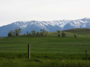 Beartooth Overlook | Fishtail Montana | Fay Ranches
