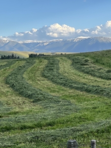 Beartooth Overlook | Fishtail Montana | Fay Ranches