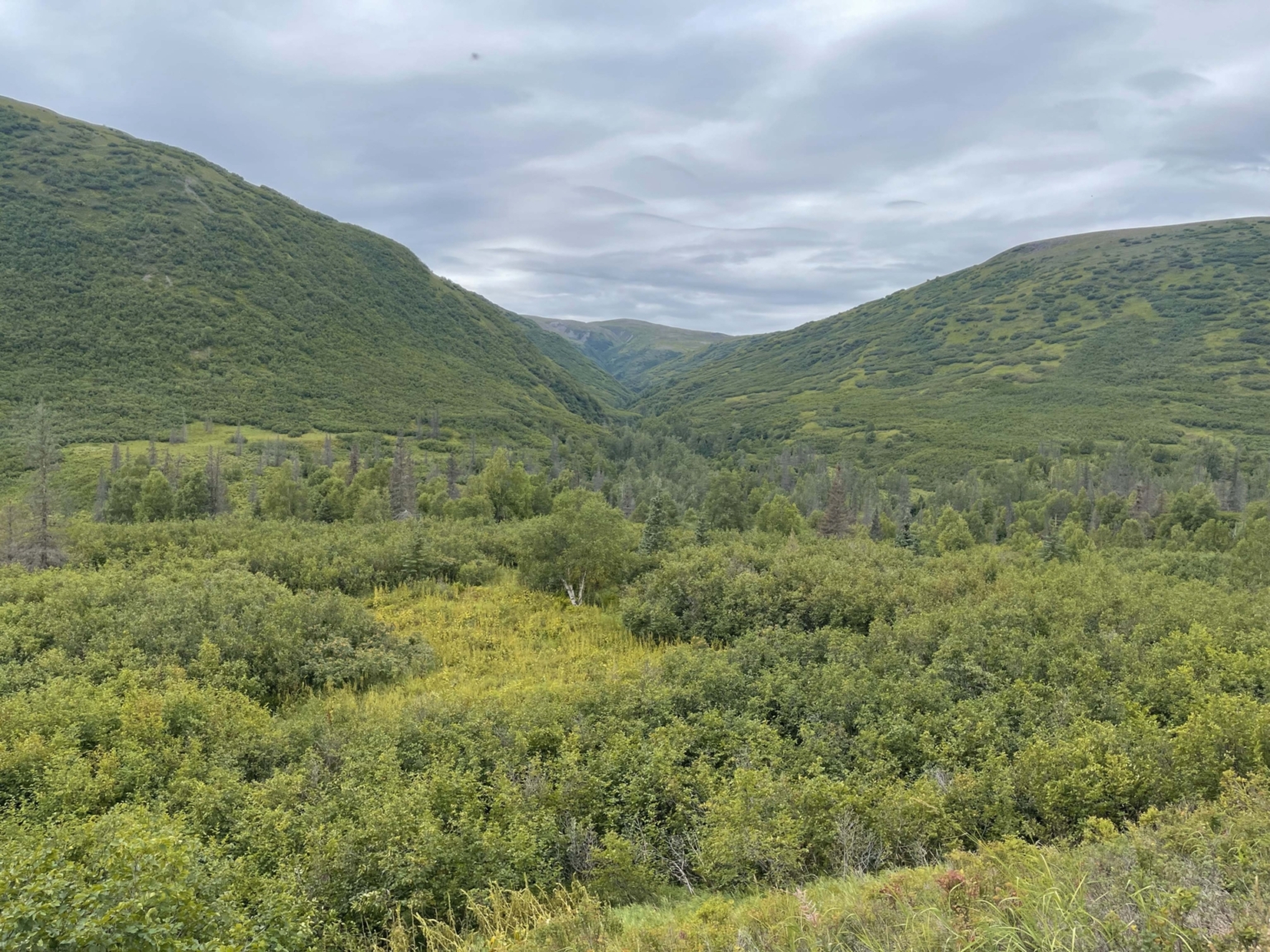 McWilliams Gold Claim | Talkeetna Alaska | Fay Ranches