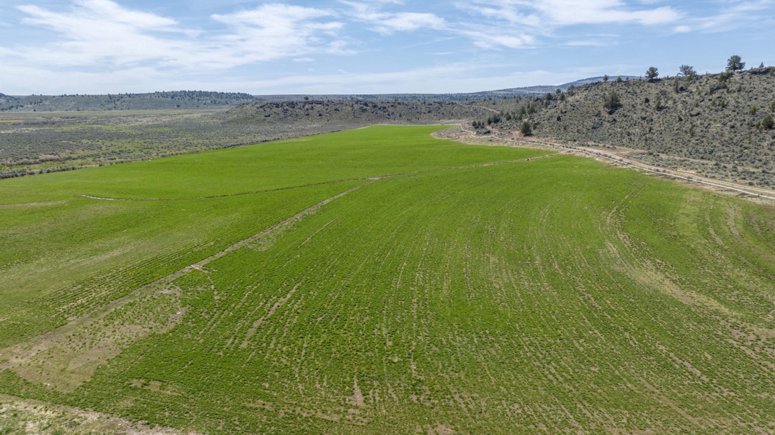 Giorgi Ranch | Paulina Oregon | Fay Ranches