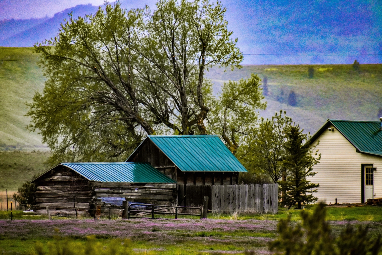 Knox Farm Equine Center | Chesterfield Idaho | Fay Ranches