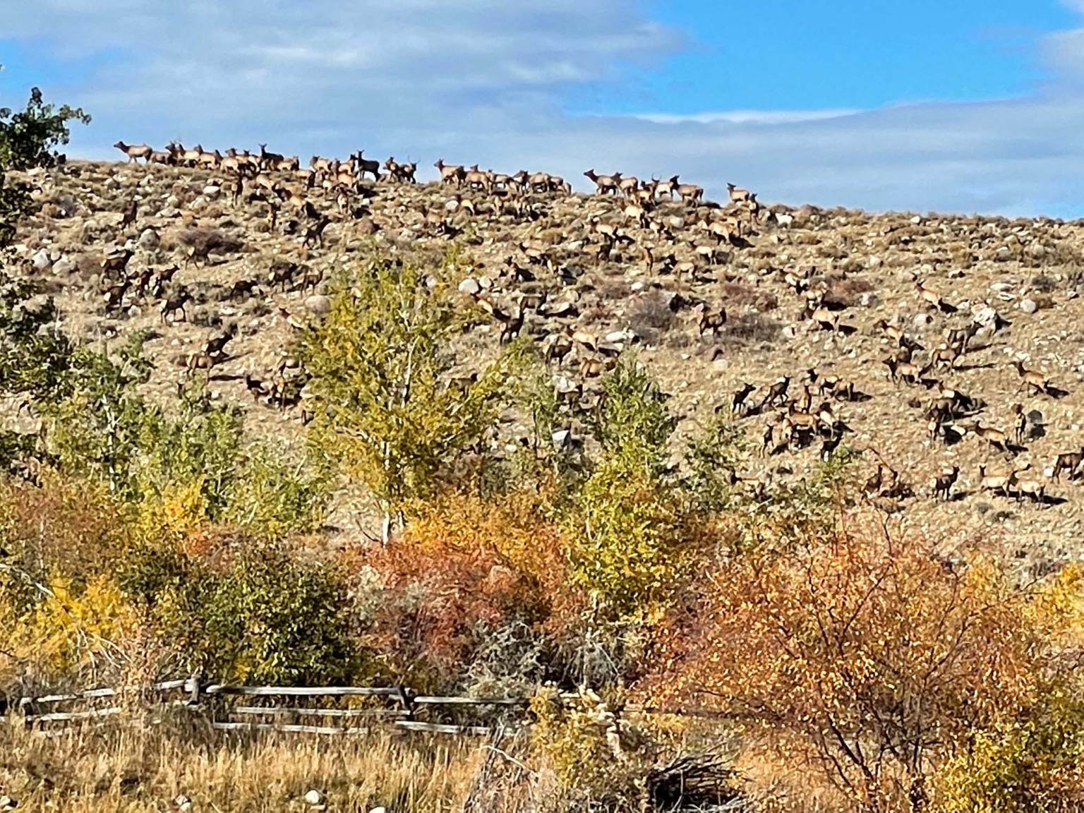 Popo Agie Meadows | Lander Wyoming | Fay Ranches