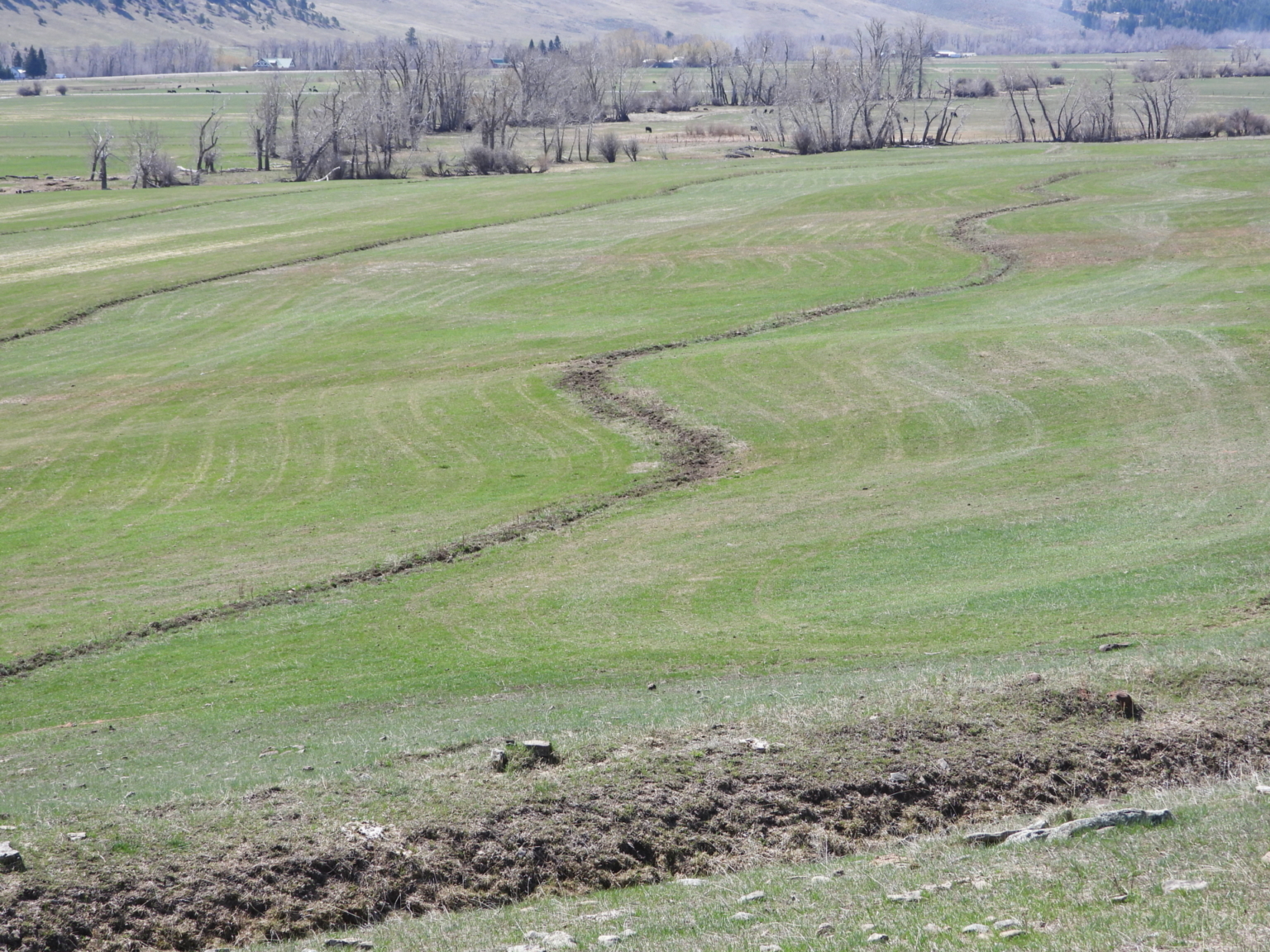 Beartooth Overlook | Fishtail Montana | Fay Ranches