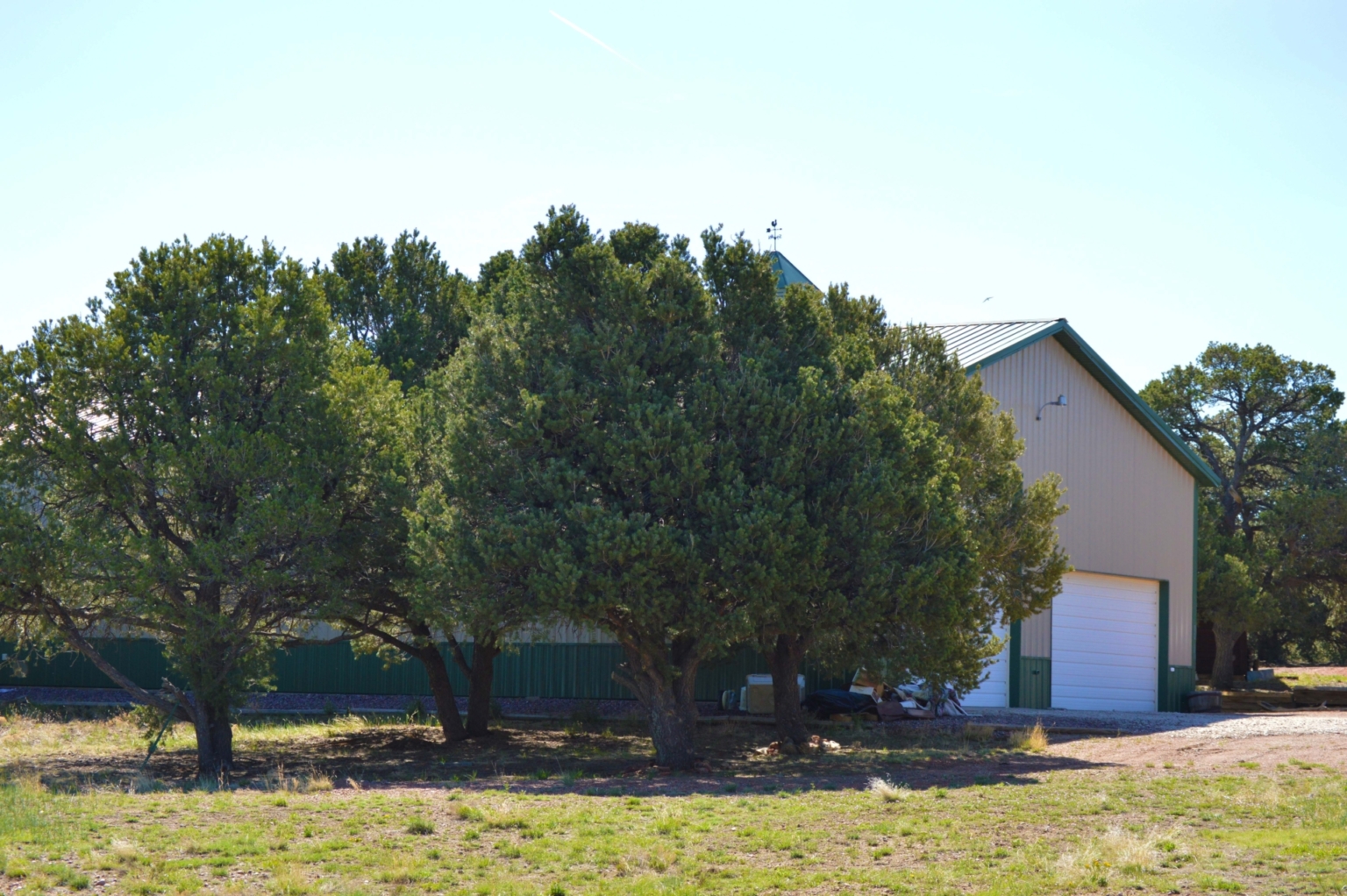 Wild Mustang Ranch | Walsenburg Colorado | Fay Ranches