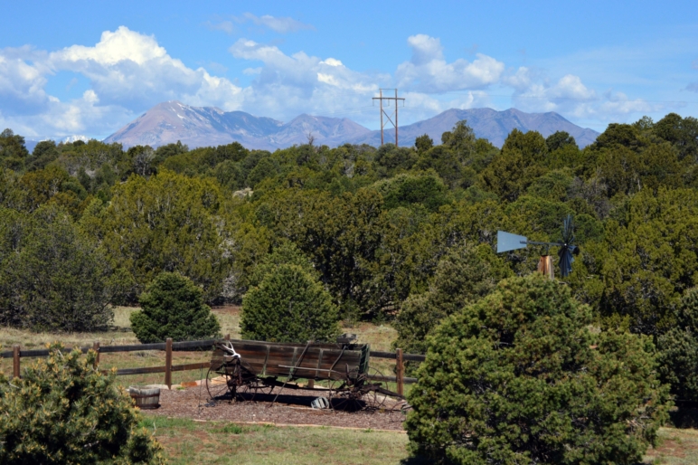 Wild Mustang Ranch | Walsenburg Colorado | Fay Ranches