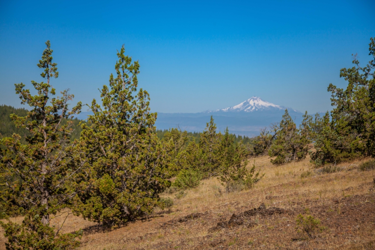 West Hensley Butte | Madras Oregon | Fay Ranches