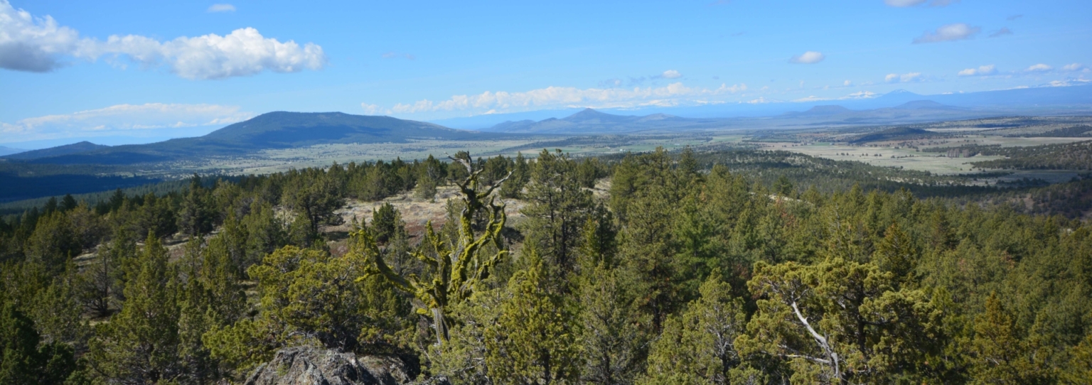 West Hensley Butte | Madras Oregon | Fay Ranches