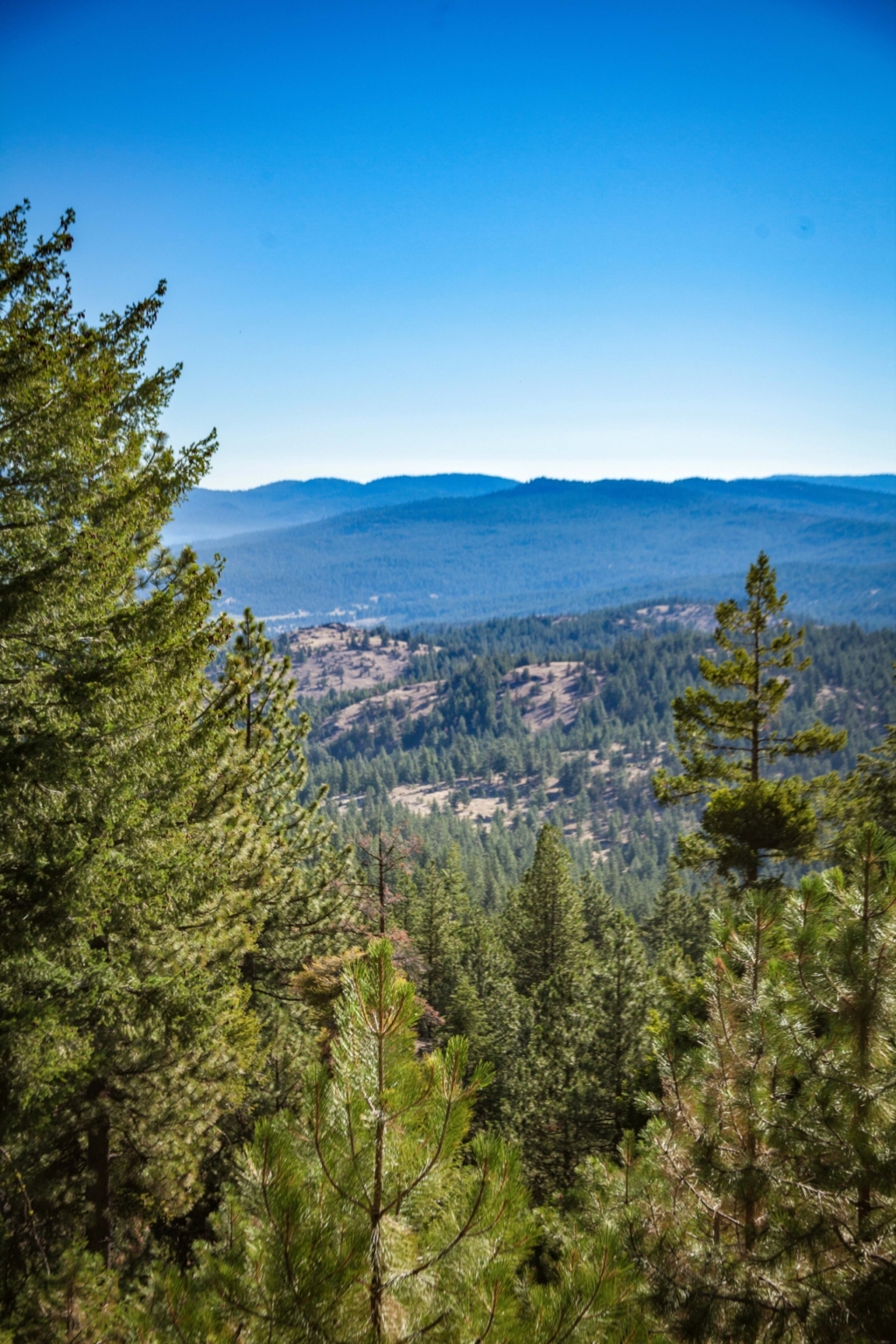 West Hensley Butte | Madras Oregon | Fay Ranches