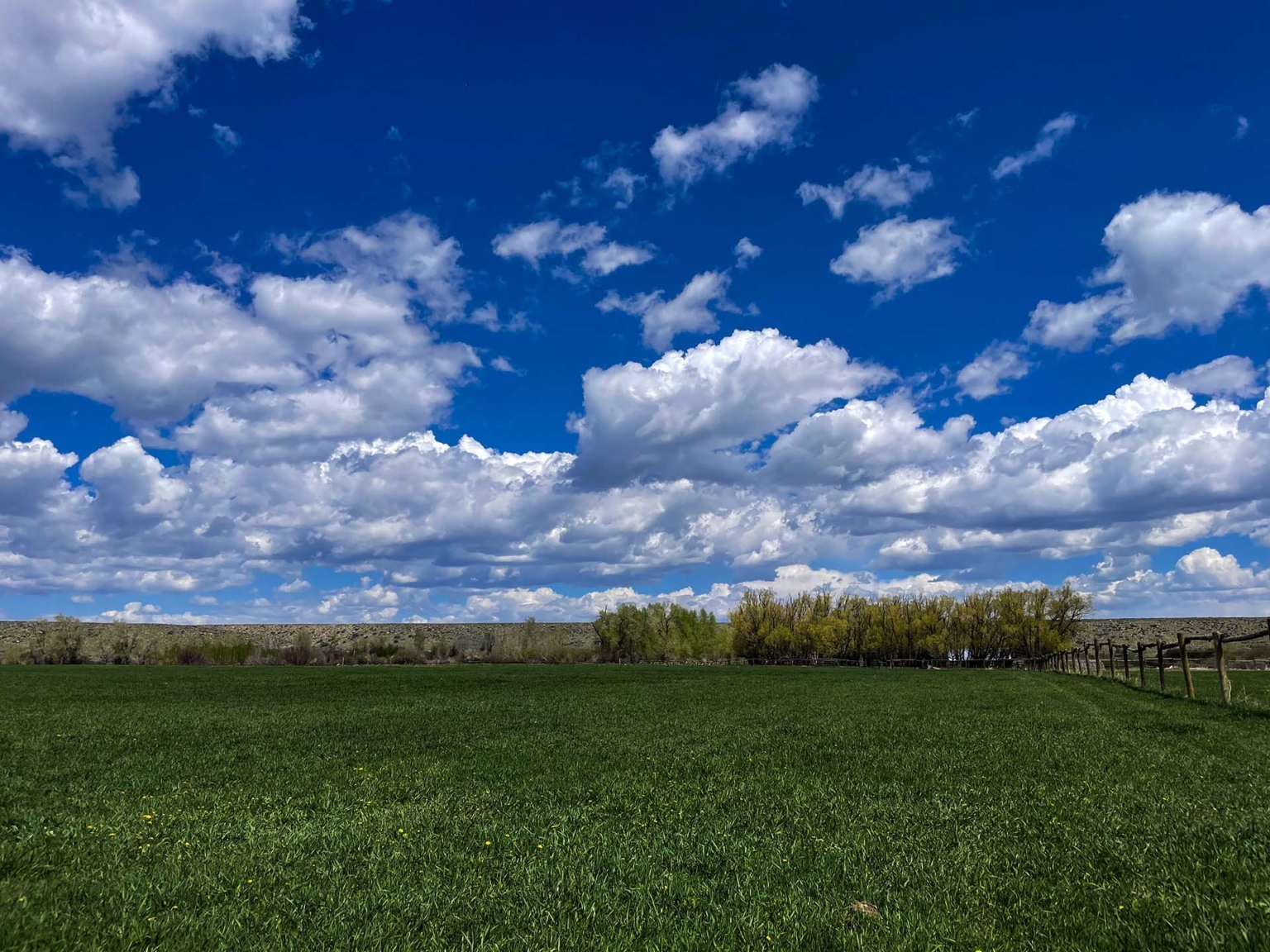 Popo Agie Meadows | Lander Wyoming | Fay Ranches