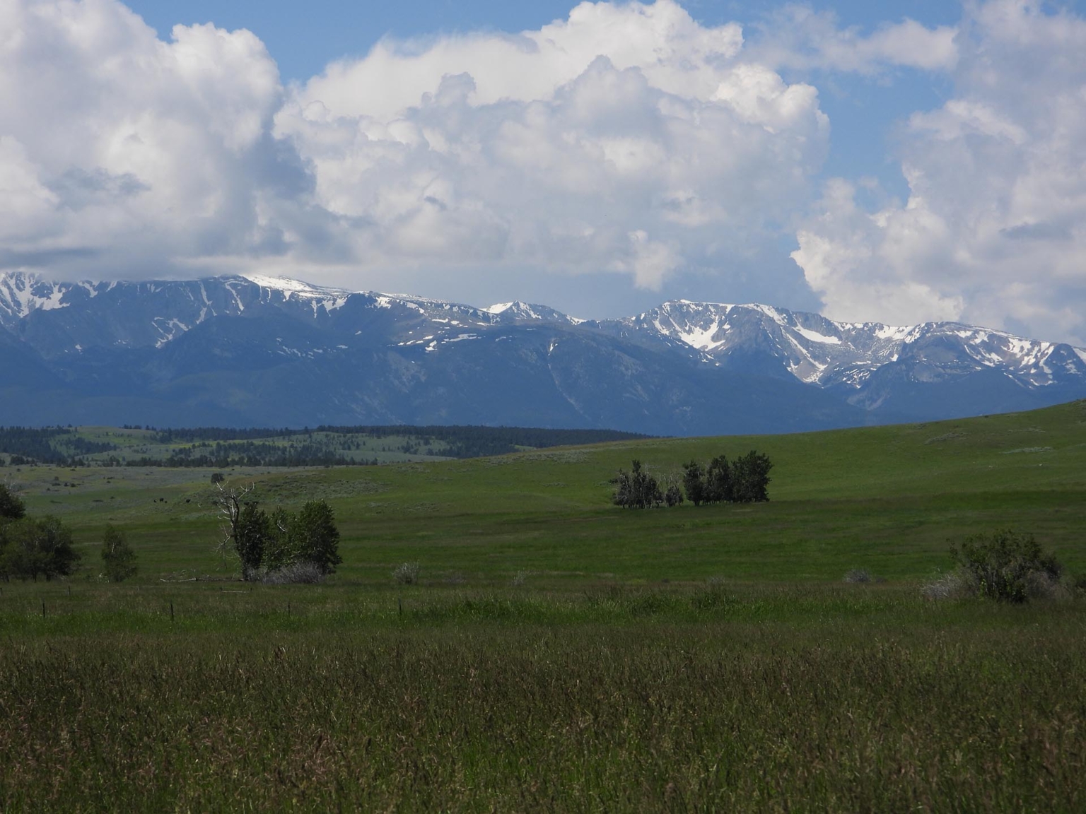 Beartooth Overlook | Fishtail Montana | Fay Ranches