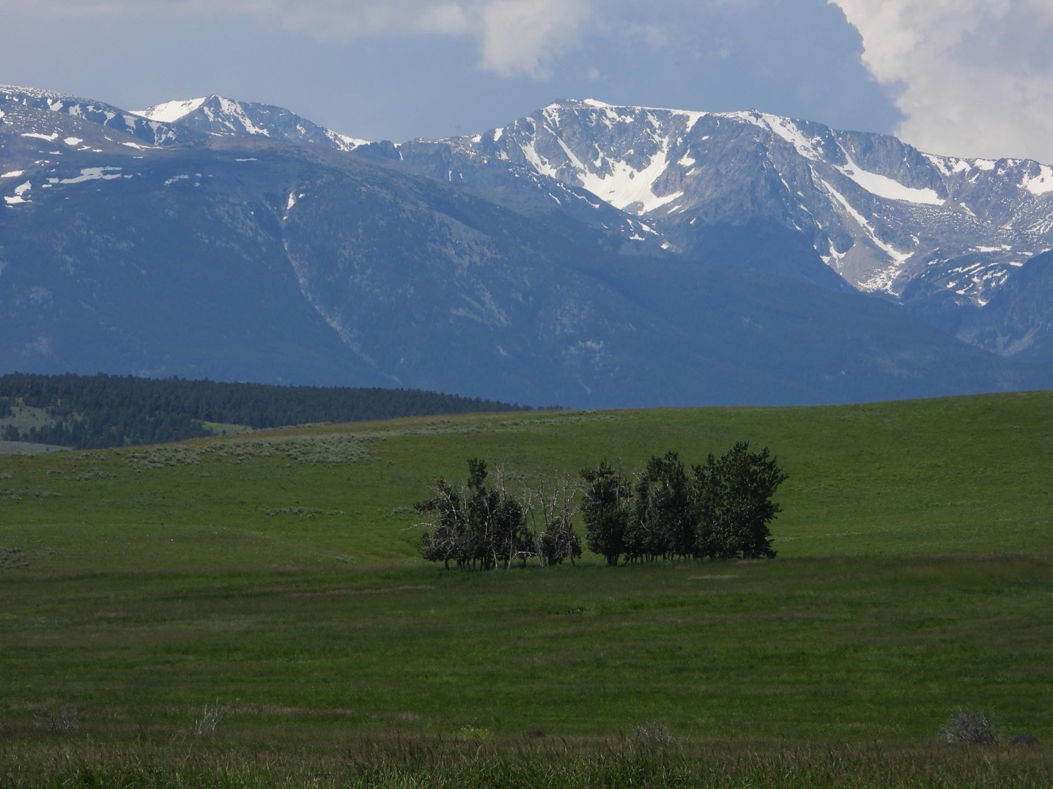 Beartooth Overlook | Fishtail Montana | Fay Ranches