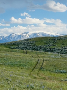 Beartooth Overlook | Fishtail Montana | Fay Ranches