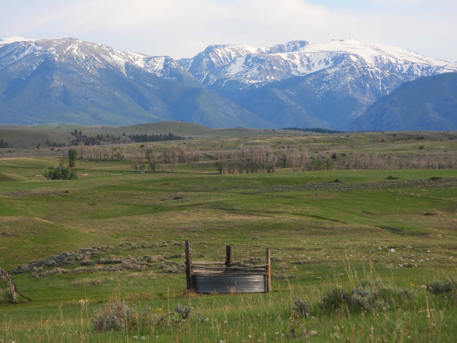 Beartooth Overlook | Fishtail Montana | Fay Ranches