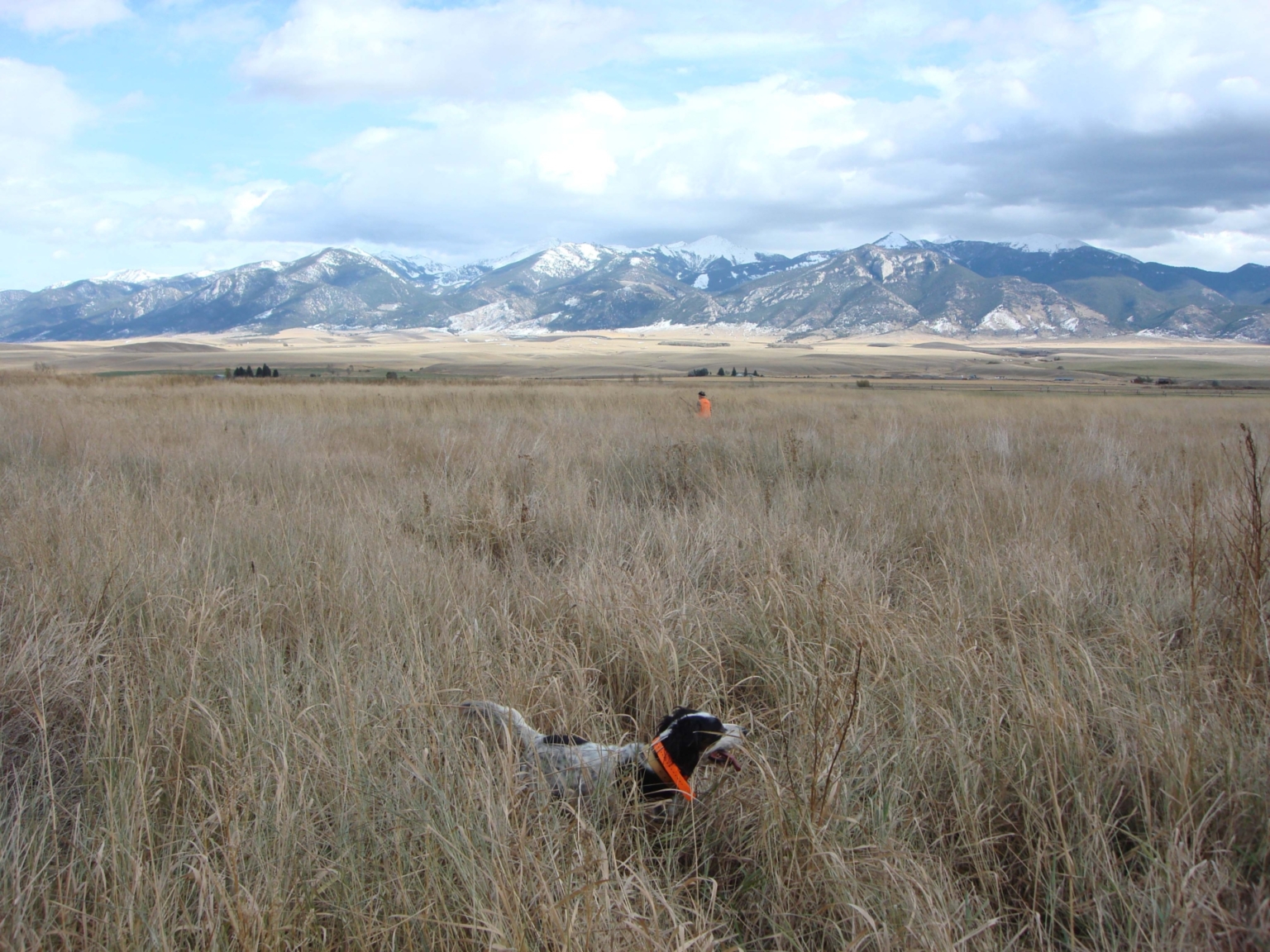 CloverCrest Ranch on the Jefferson | Twin Bridges Montana | Fay Ranches