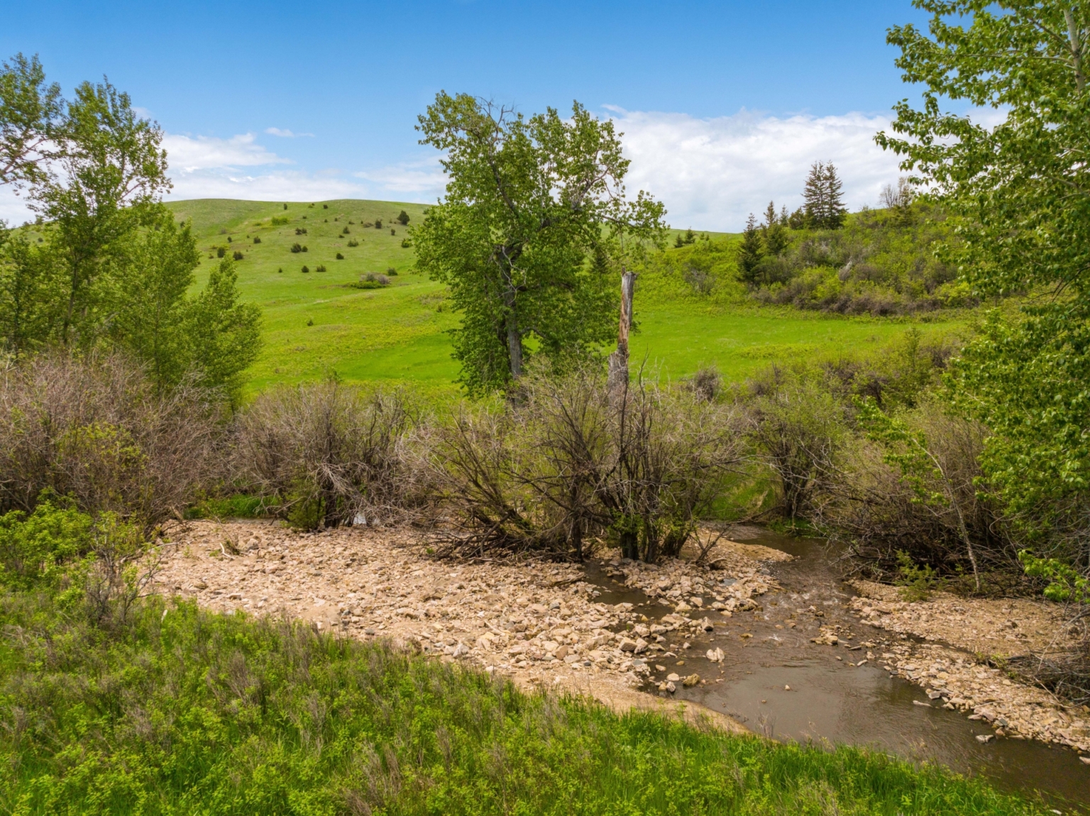 Maryott Gulch at Montana Ranch | Gallatin Gateway Montana | Fay Ranches