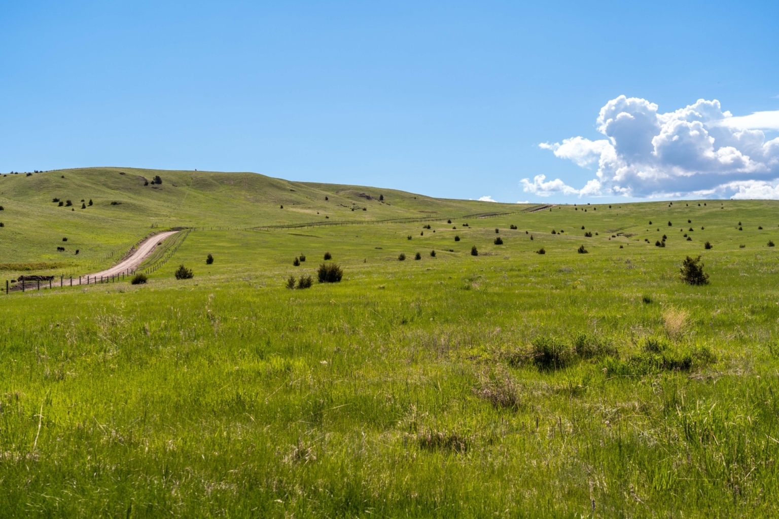 Gallatin Views at Montana Ranch | Gallatin Gateway Montana | Fay Ranches