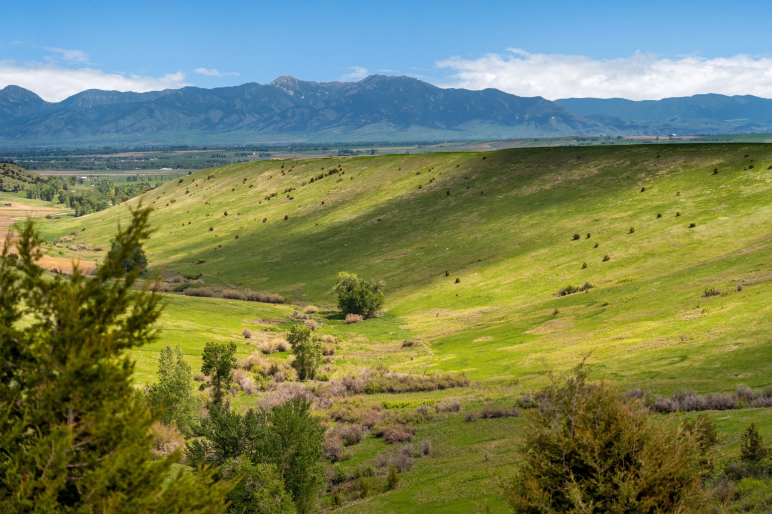 Maryott Gulch at Montana Ranch | Gallatin Gateway Montana | Fay Ranches