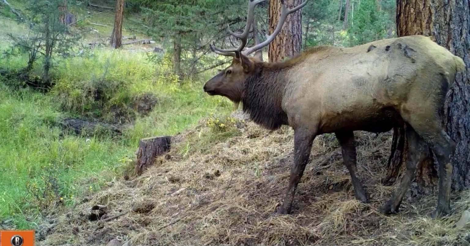 Ochoco Creek Ranch | Prineville Oregon | Fay Ranches