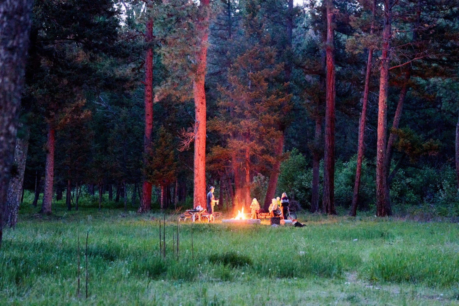 Horseshoe Hills | Seeley Lake Montana | Fay Ranches