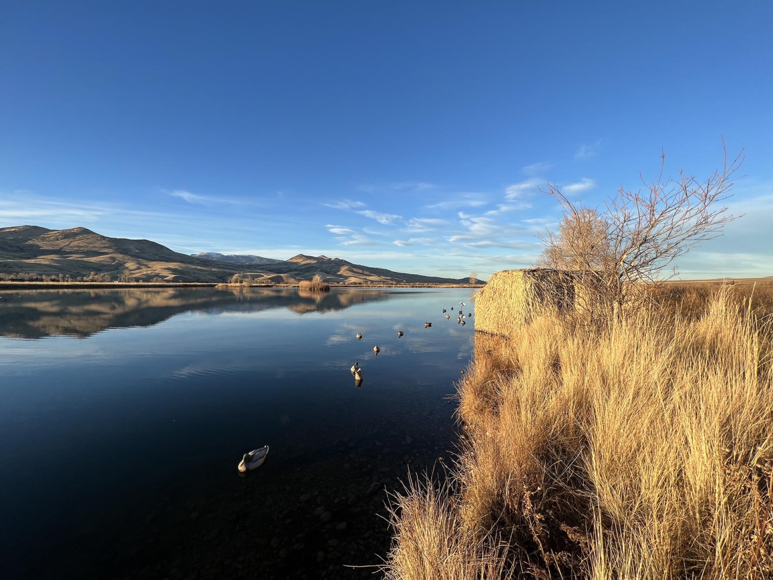 CloverCrest Ranch on the Jefferson | Twin Bridges Montana | Fay Ranches